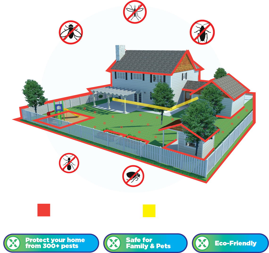 Pest Control Services in Raleigh NC | TruX Pest Control