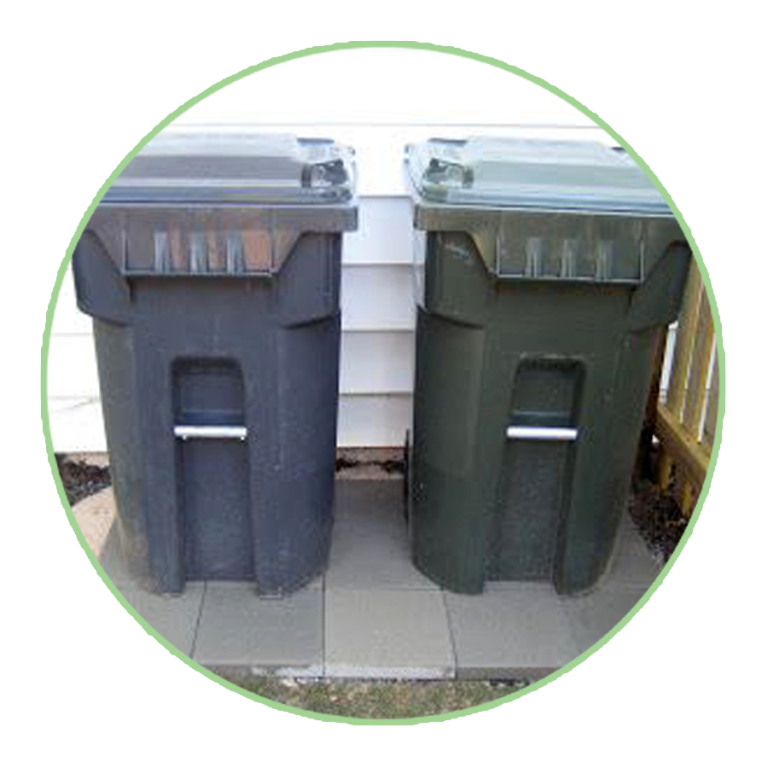 Pest Control for the Raleigh area | TruX